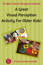 Visual Sequential Memory Activities