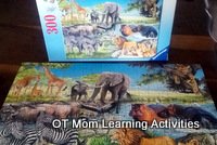 Jigsaw Puzzles for Teens